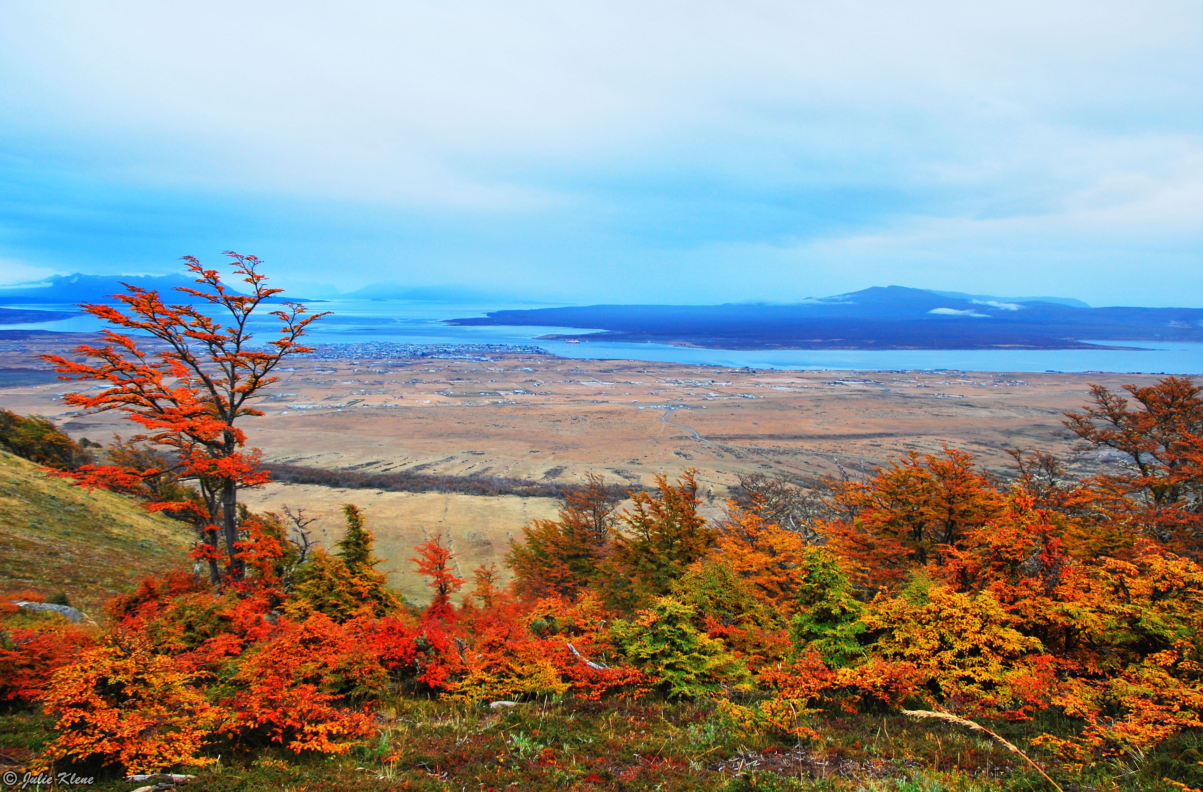 Viewbug Member Selection Award for « View over the Sound of Last Hope ...
